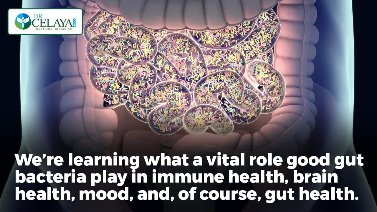Exercise creates good gut bacteria independent of diet – drcelaya.com